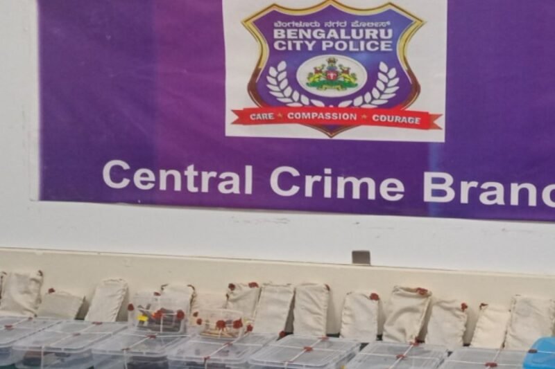 5 terror suspects, radicalised by LeT operative, arrested in Bengaluru ...